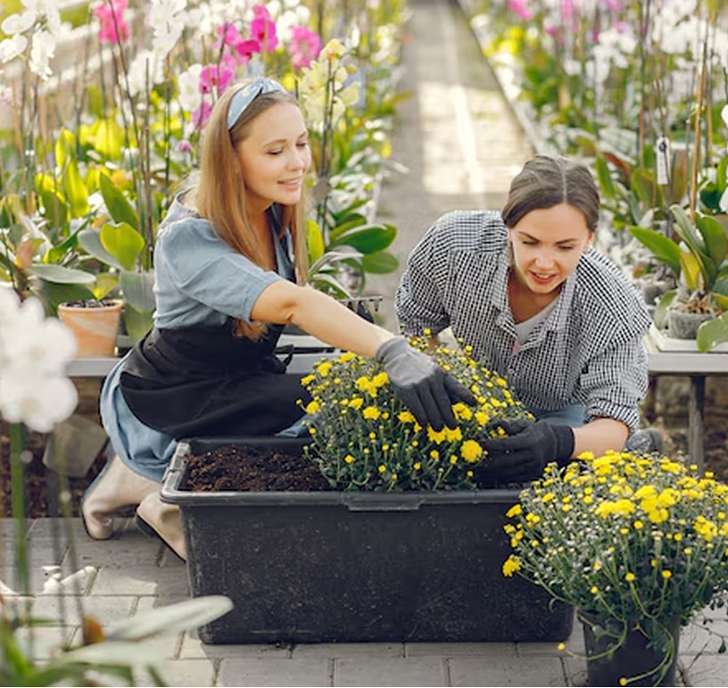 Grass Irrigation System – Metalko